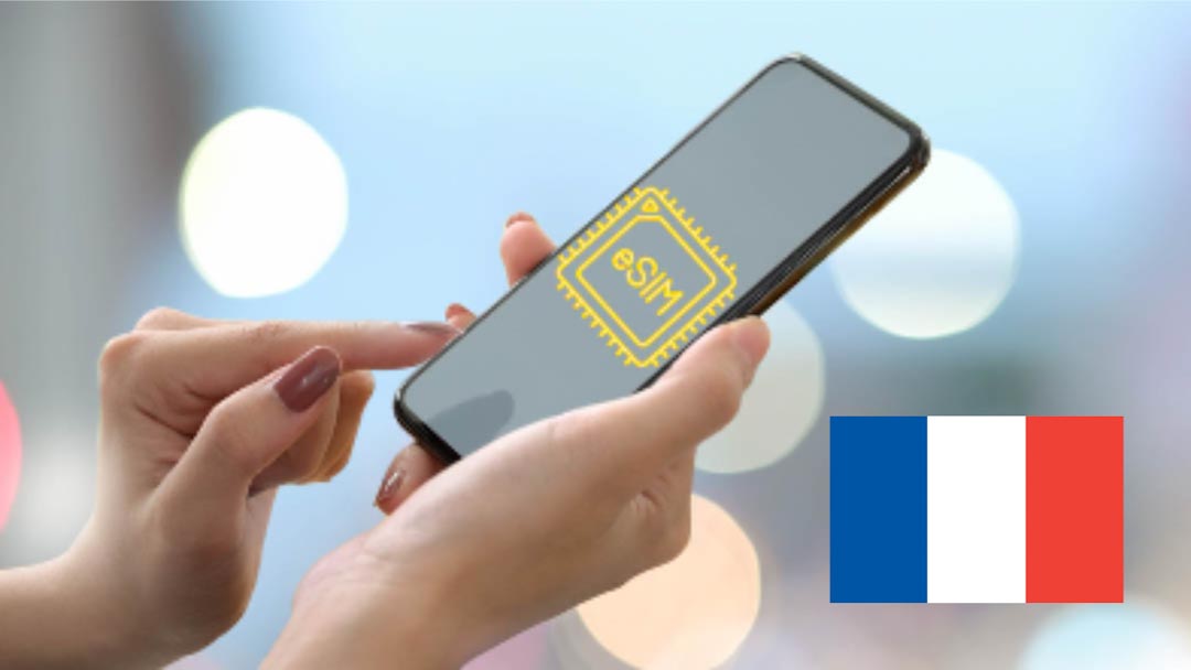 【厳選】日本一時帰国で買うものまとめ！荷物ミニマル派のリスト！ - yukachi paris (yukachi_paris)